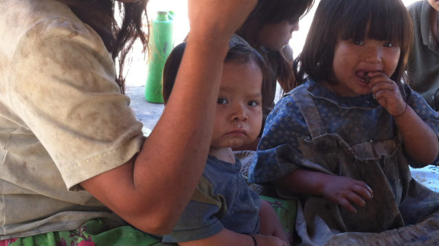 Pre-Chewing Food For Babies: The Research Continues