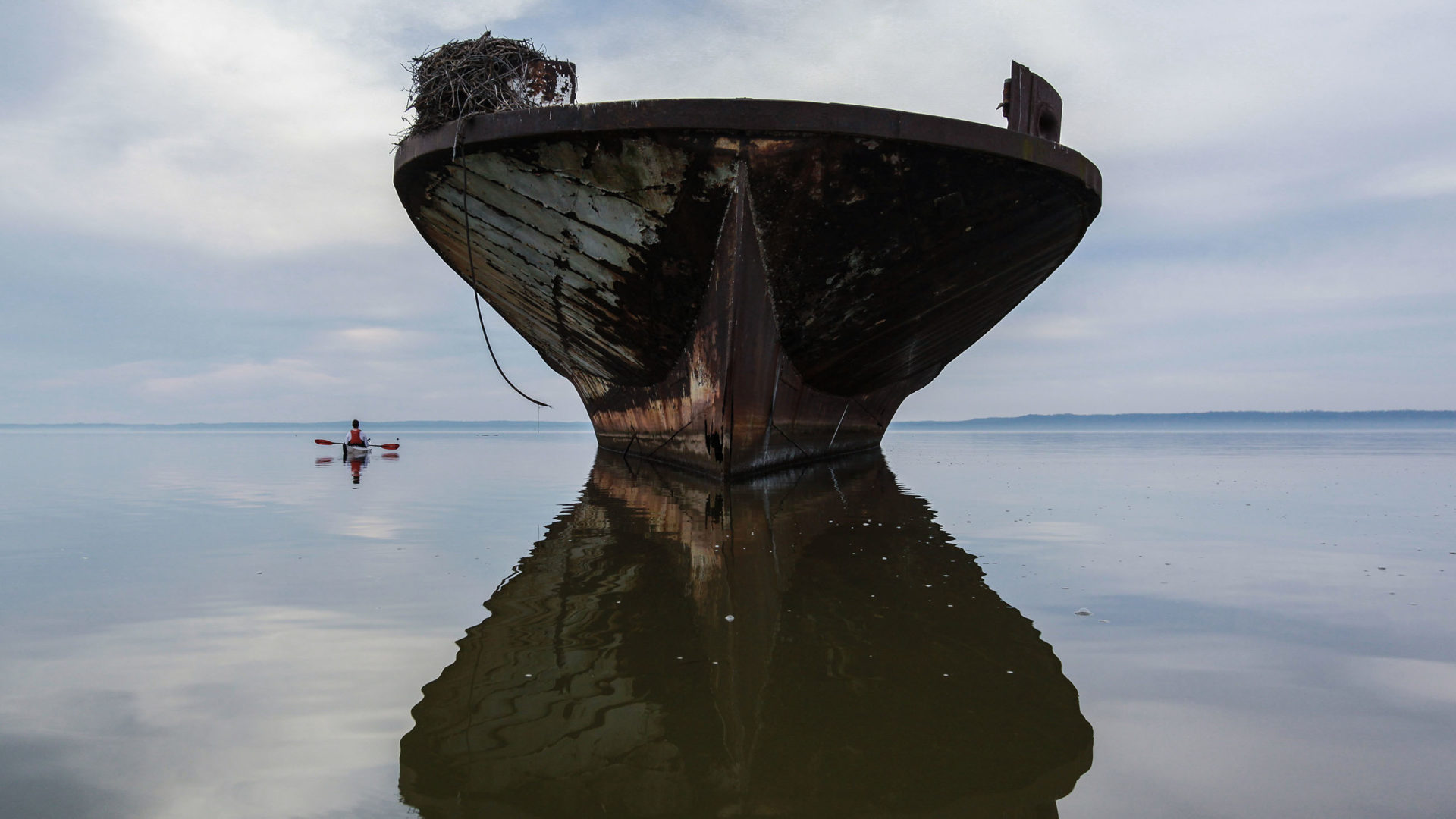 Don't Save Mallows Bay: The Tradeoffs of Conservation