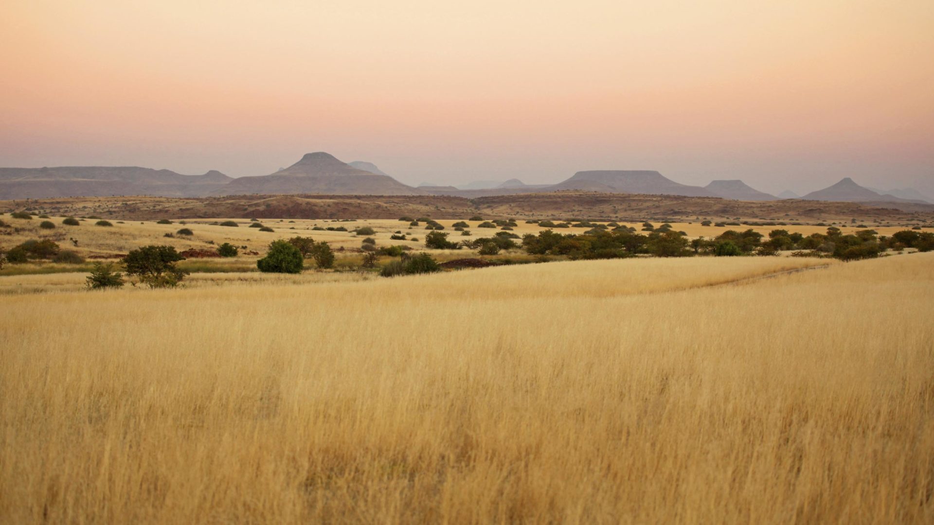 Did Leaf-Browsing Herbivores Give Rise to Africa's Savannas?