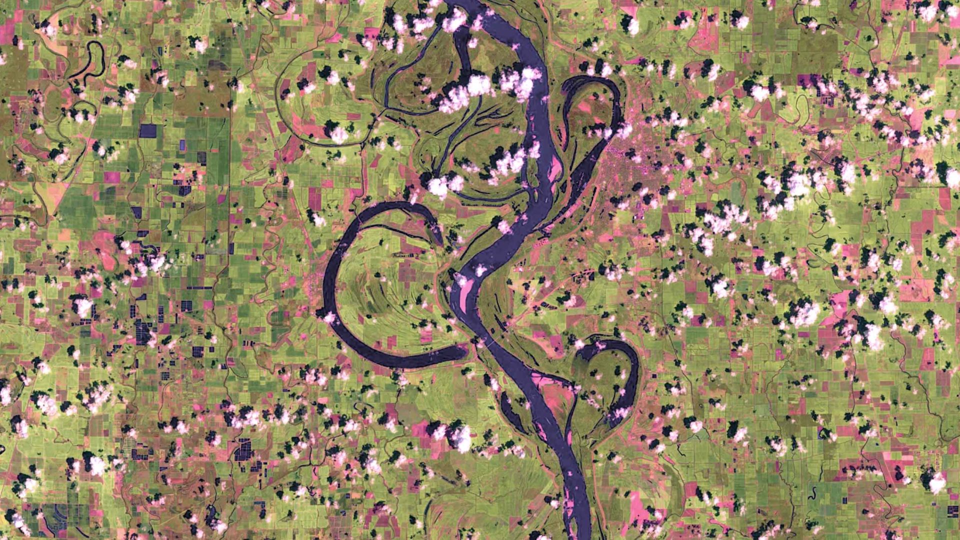 After the Oxbow: Mississippi River Backwaters Are Disappearing. Why?