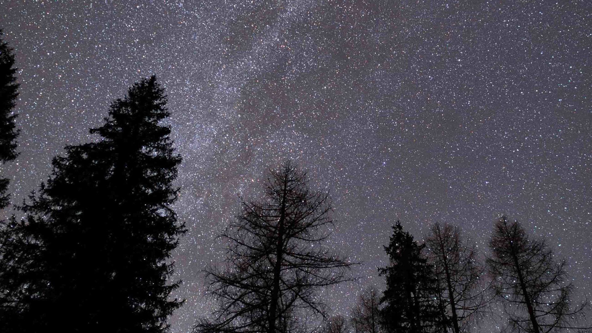 A Debate Over Cosmic Inflation (and Editing at Scientific American) Gets Heated