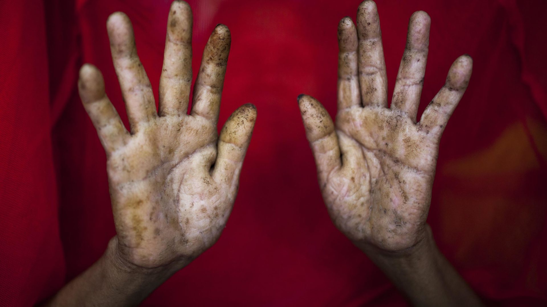 The Poisoning of Bangladesh: How Arsenic Is Ravaging a Nation