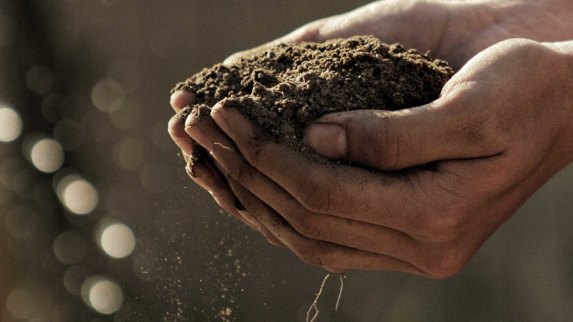 'This Blessed Earth': A Tale of Tragedy and Hope on a Family Farm