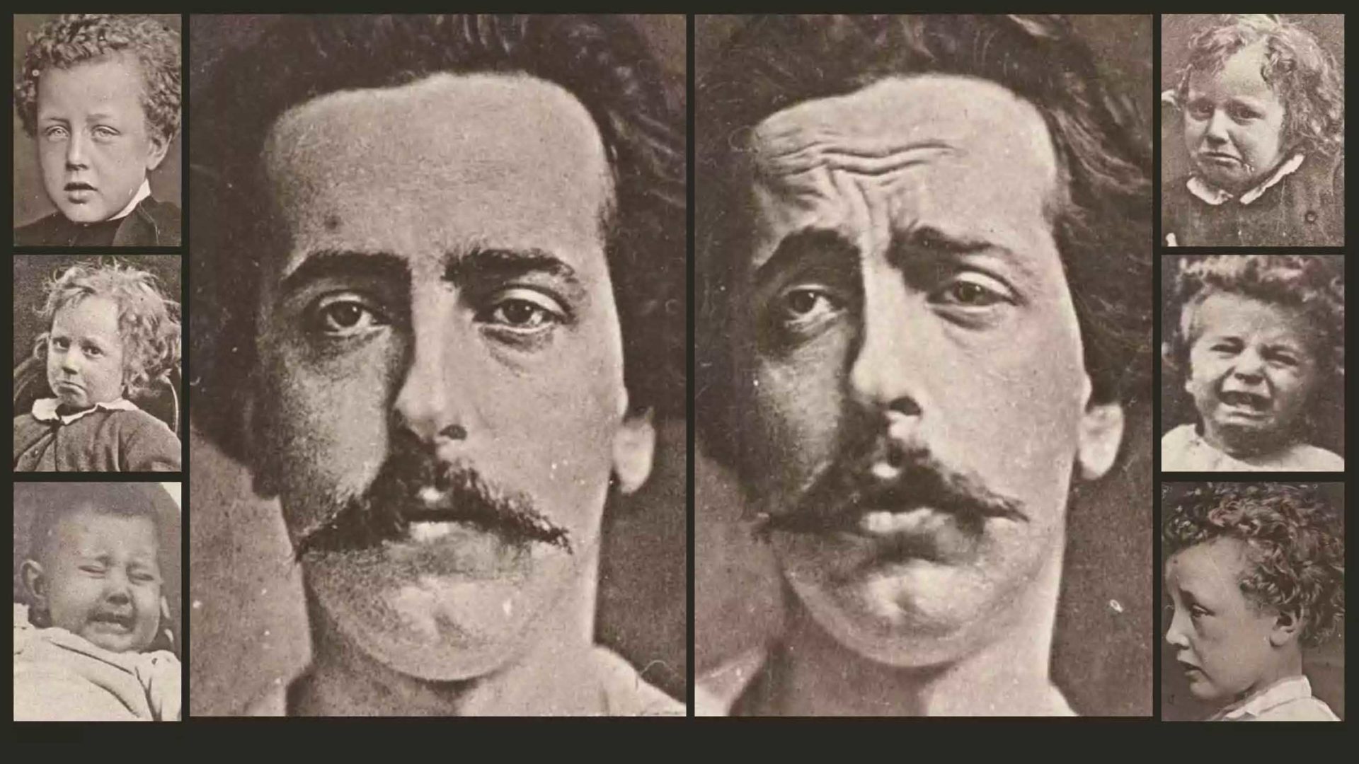 On the Face of It: Charles Darwin and the Evolution of Expression