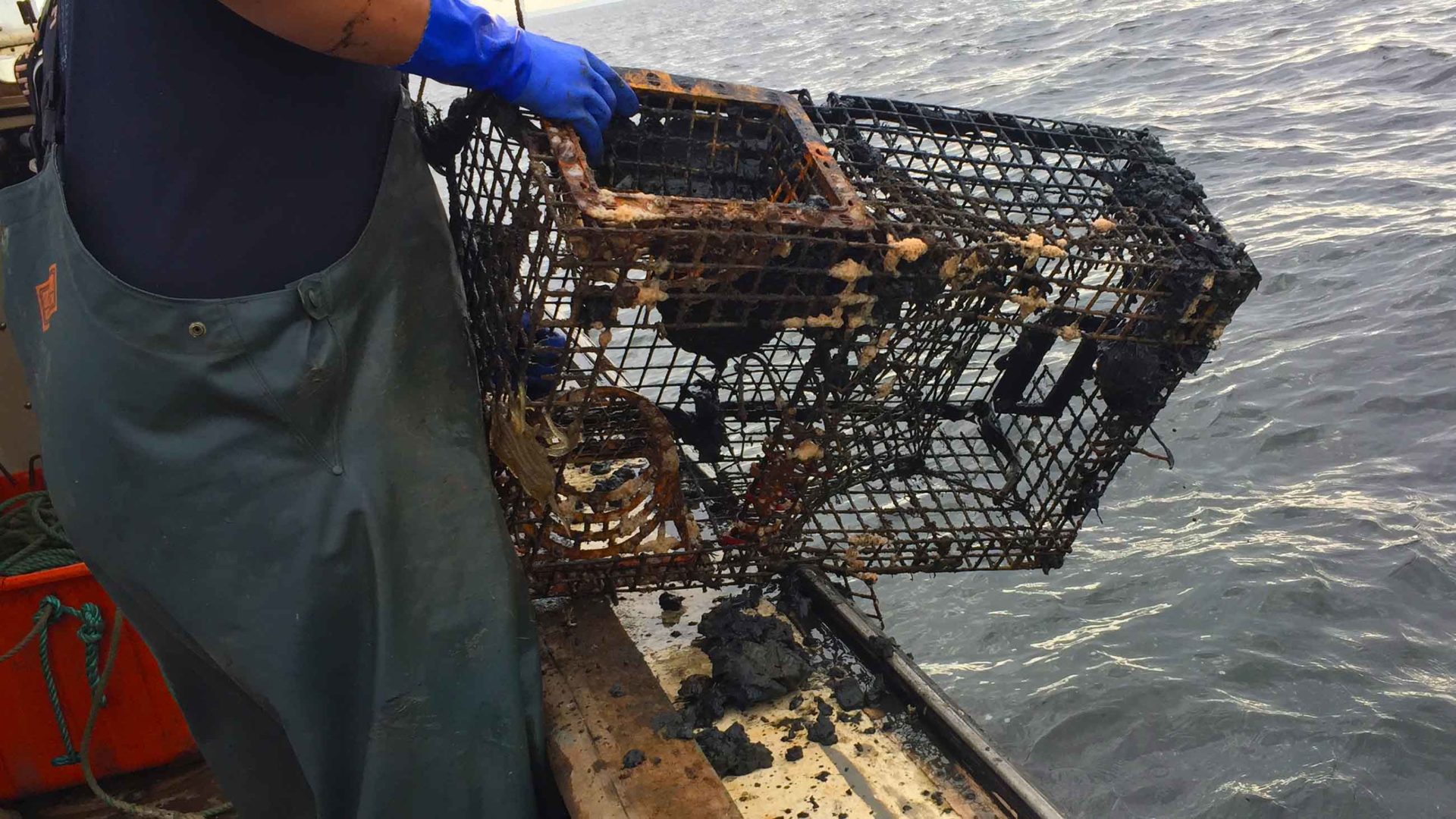 Ghost Fishing Off Long Island’s Coast