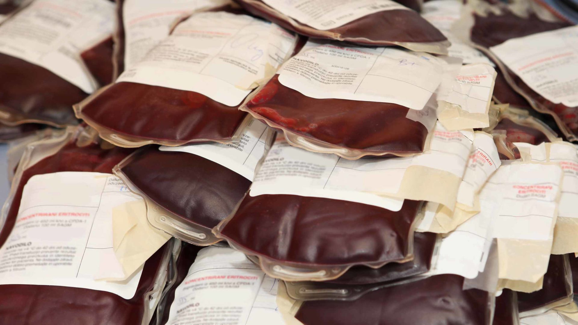 A Guided Tour of Human Blood: Past, Present, and Future