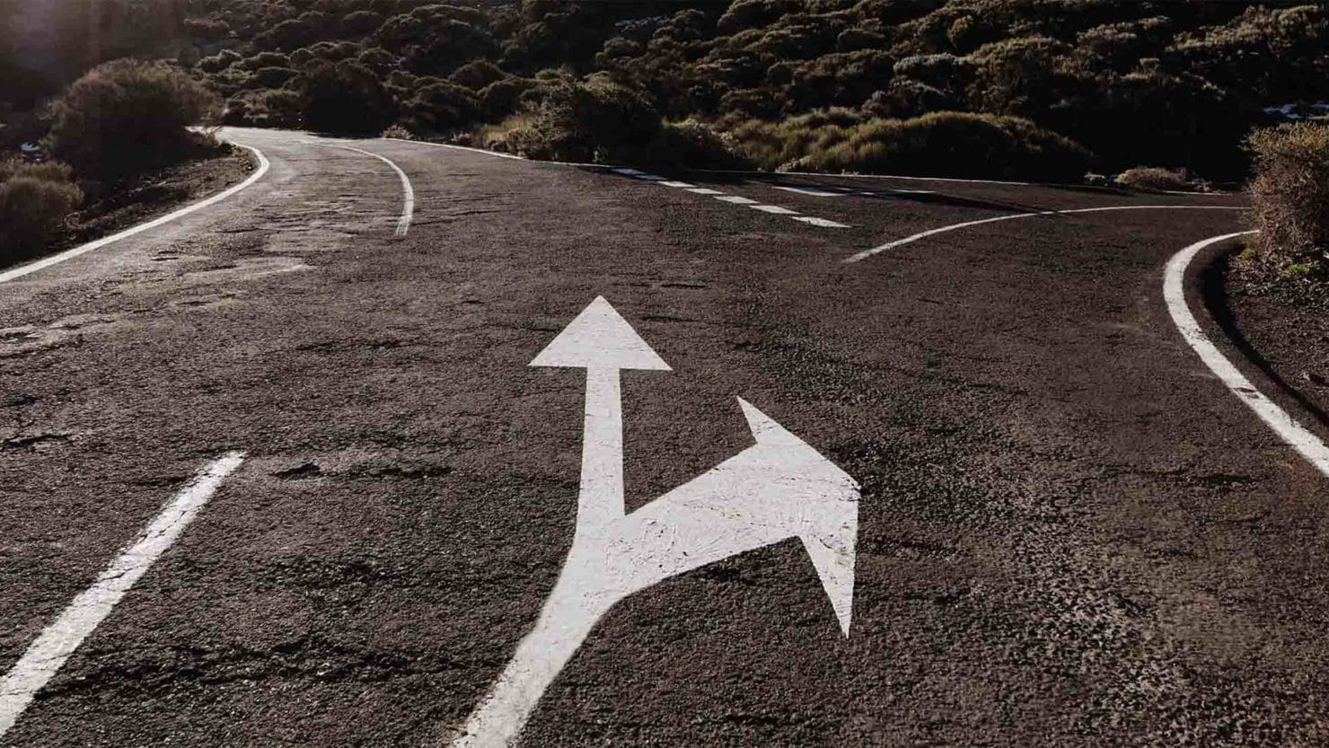 What Matters Most on the Road to Scientific Success?