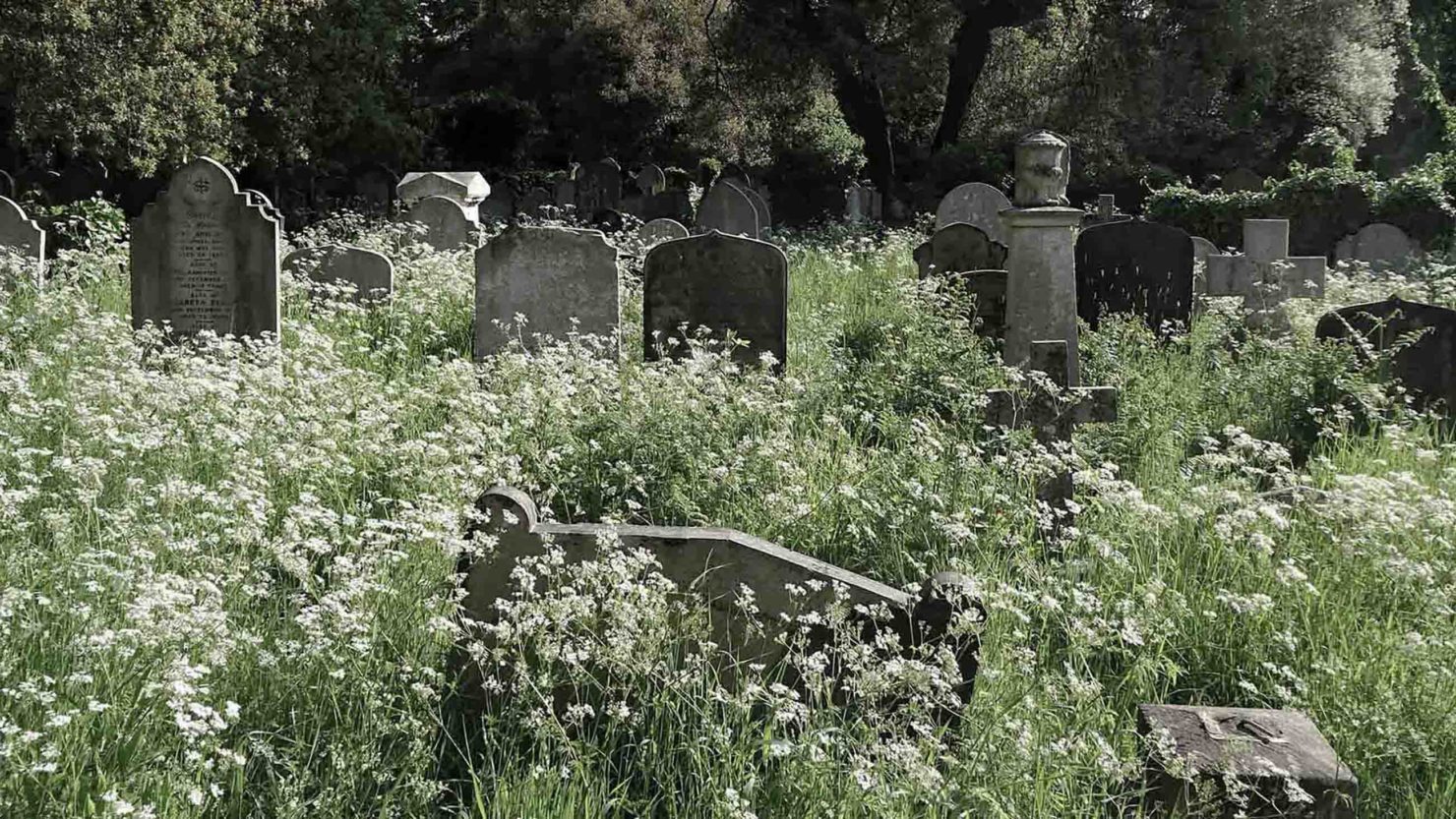 Does Science Really Advance One Funeral at a Time?