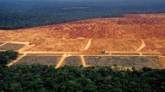 The Amazon Lost 24,000 Square Miles of Land This Decade