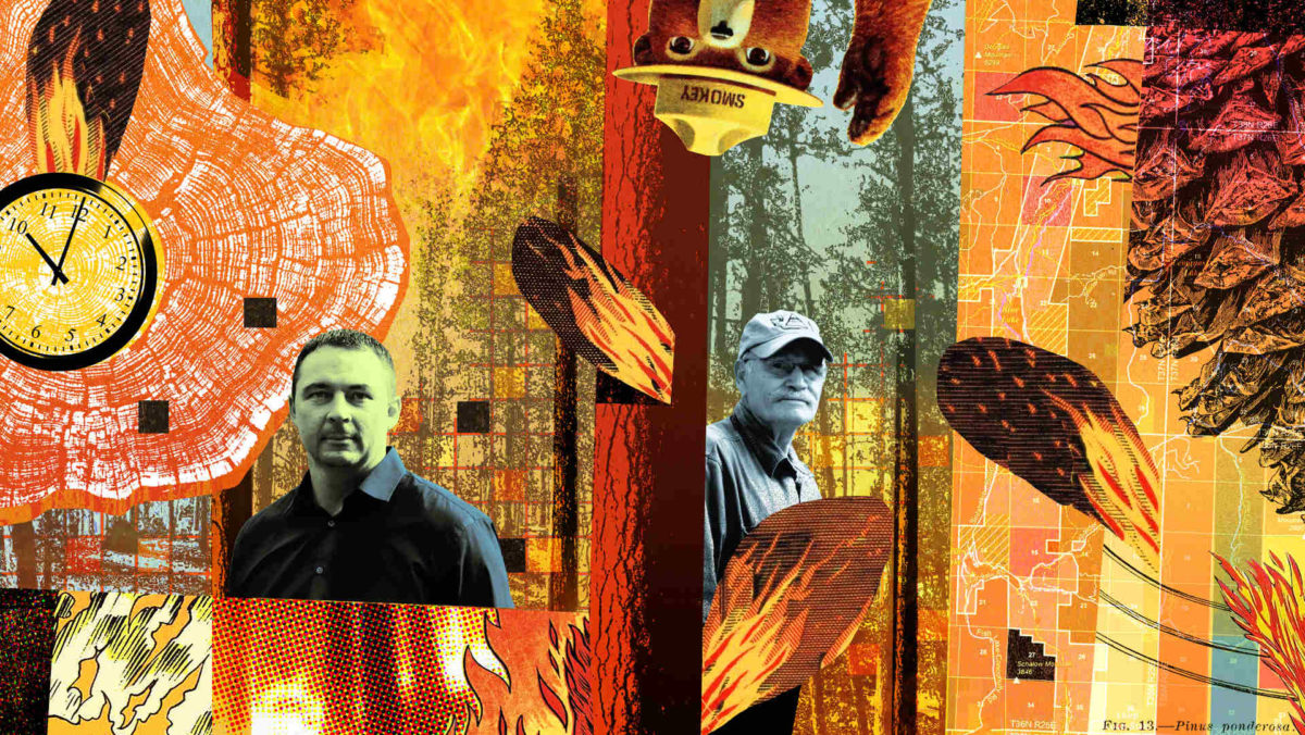 For Forest Blazes Grown Wilder, an Alternative: The 'Good Fire'