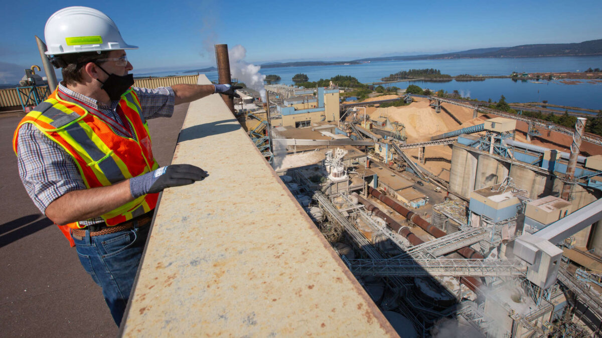 In Coastal Communities, the Toxic Legacy of Pulp and Paper Mills