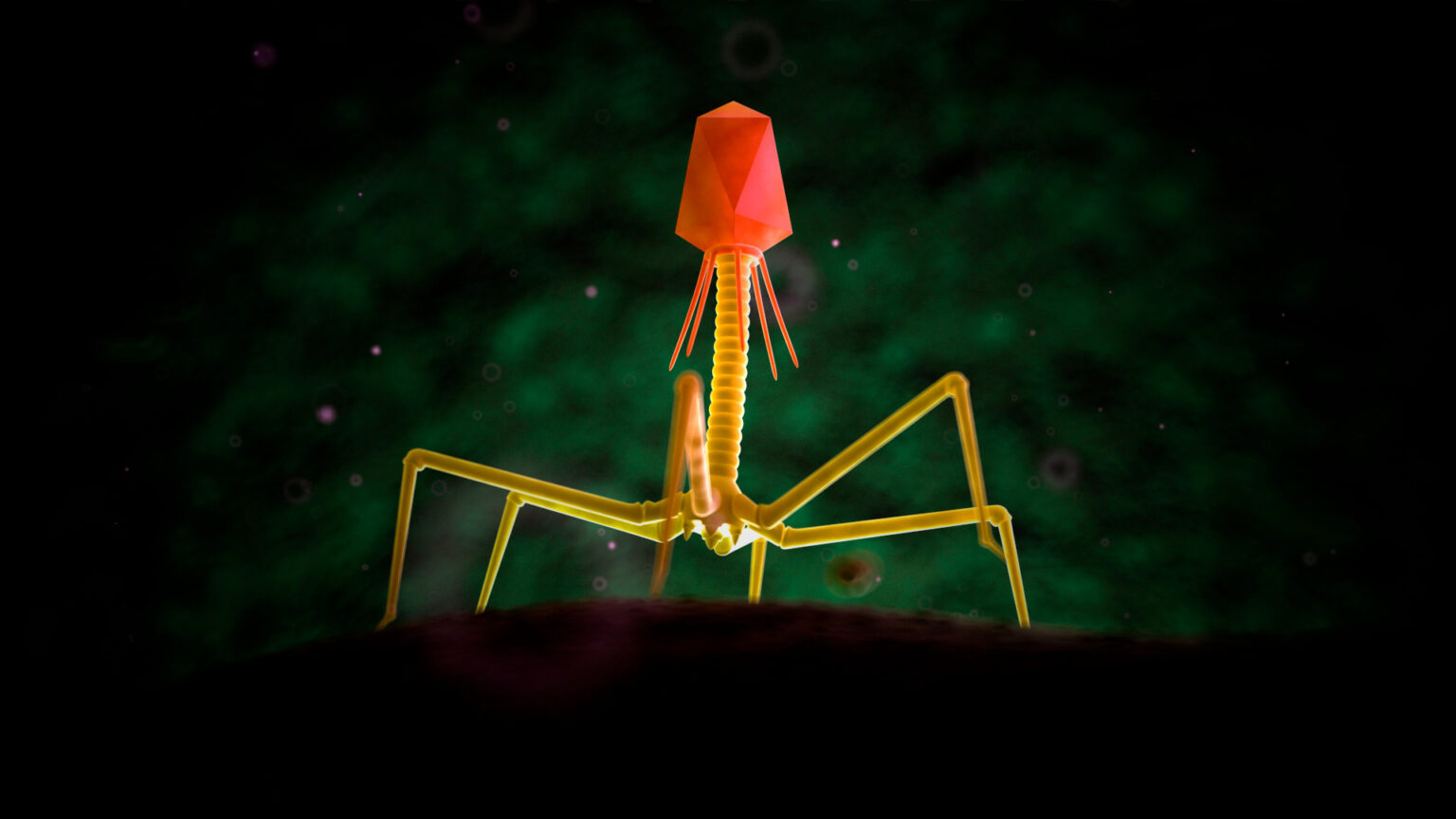 Book Review: The Curious History of Life-Saving Viruses