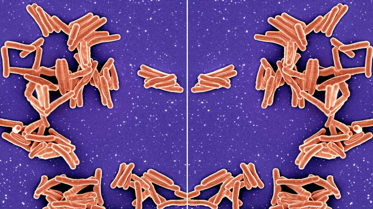 Reflecting on the Risks of ‘Mirror Life’